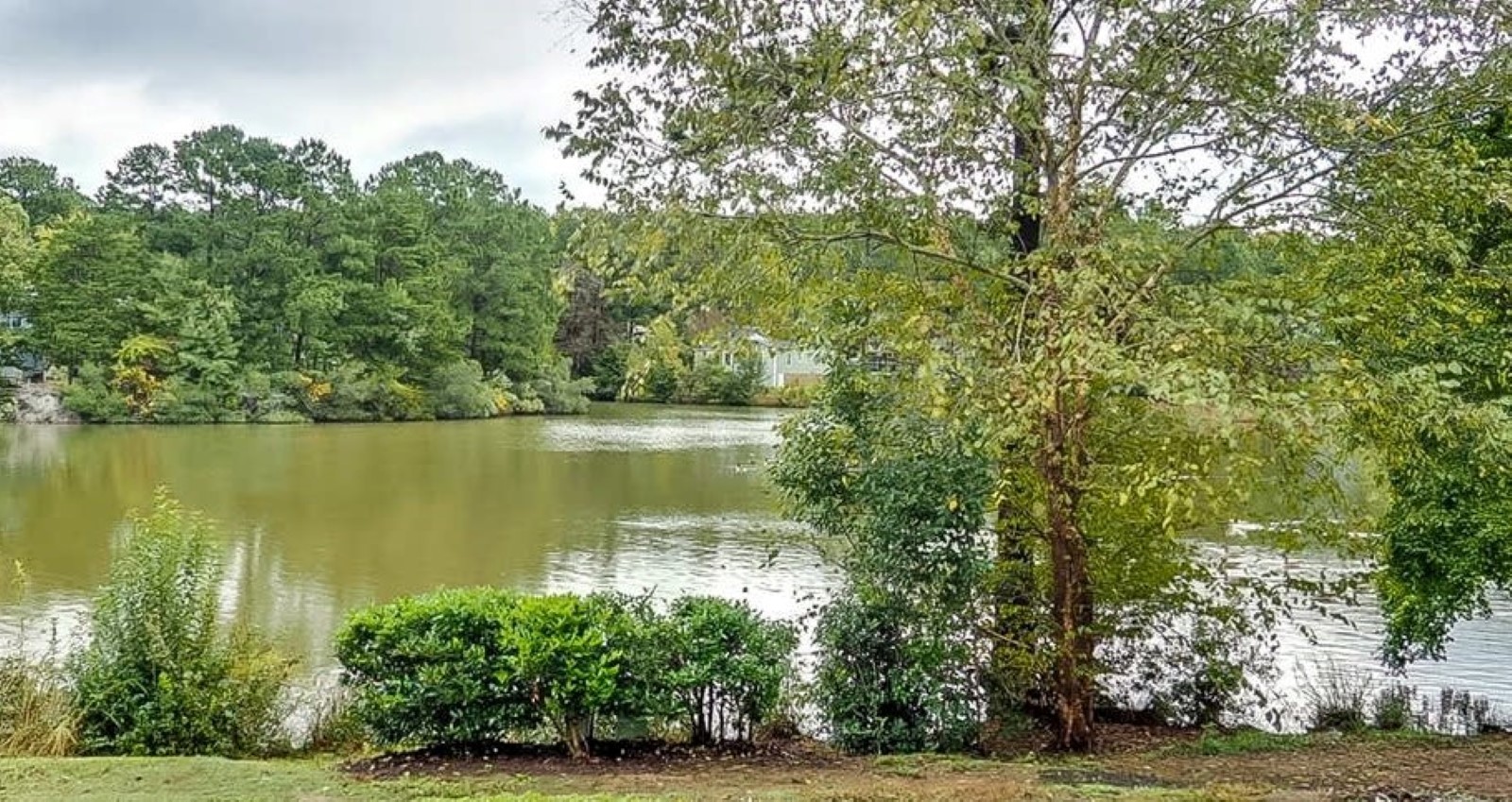 Colony Lake Homeowners Association, Inc.